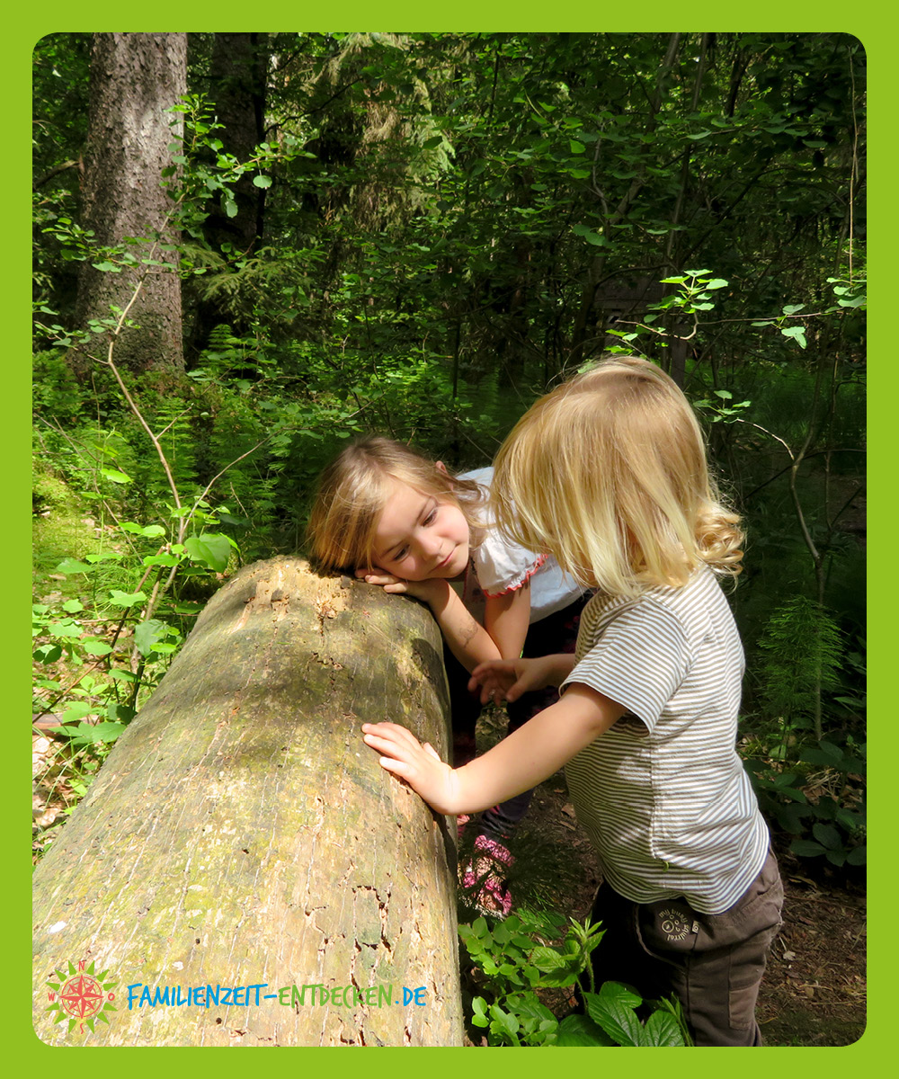 Erlebniswandern – familienzeit-entdecken.de